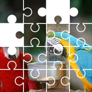 Macaw & Macaw Puzzle JigZone.com