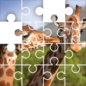 Giraffes Puzzle JigZone.com