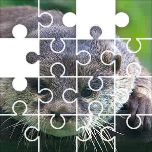 Otter Puzzle JigZone.com